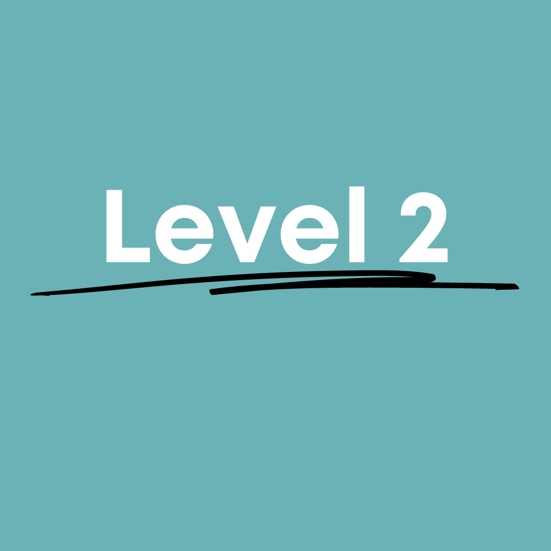 Ballet Level 2 – DQI Store